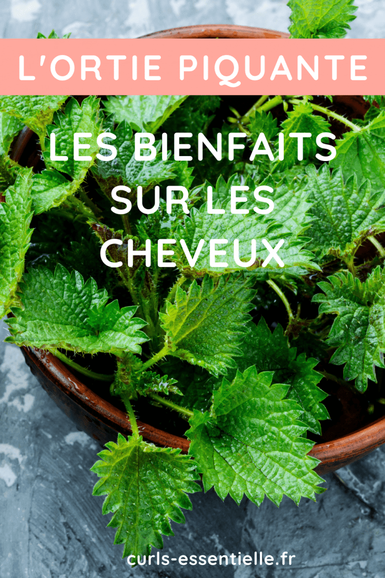 Quels sont les bienfaits de l'ortie piquante pour les cheveux ? | Curls ...
